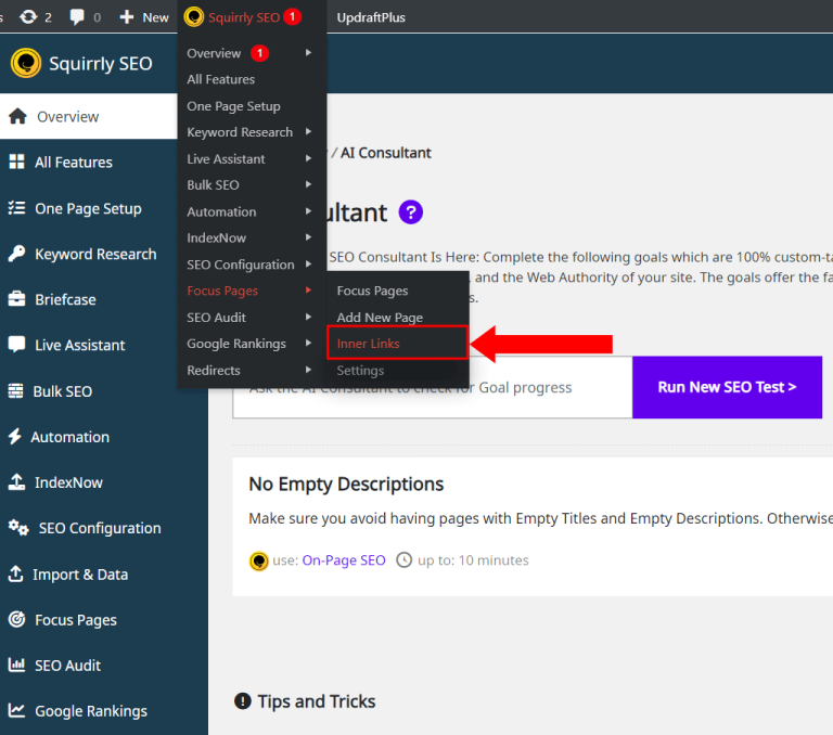 Inner Links - Squirrly SEO (Newton)