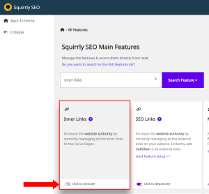 Inner Links - Squirrly SEO (Newton)
